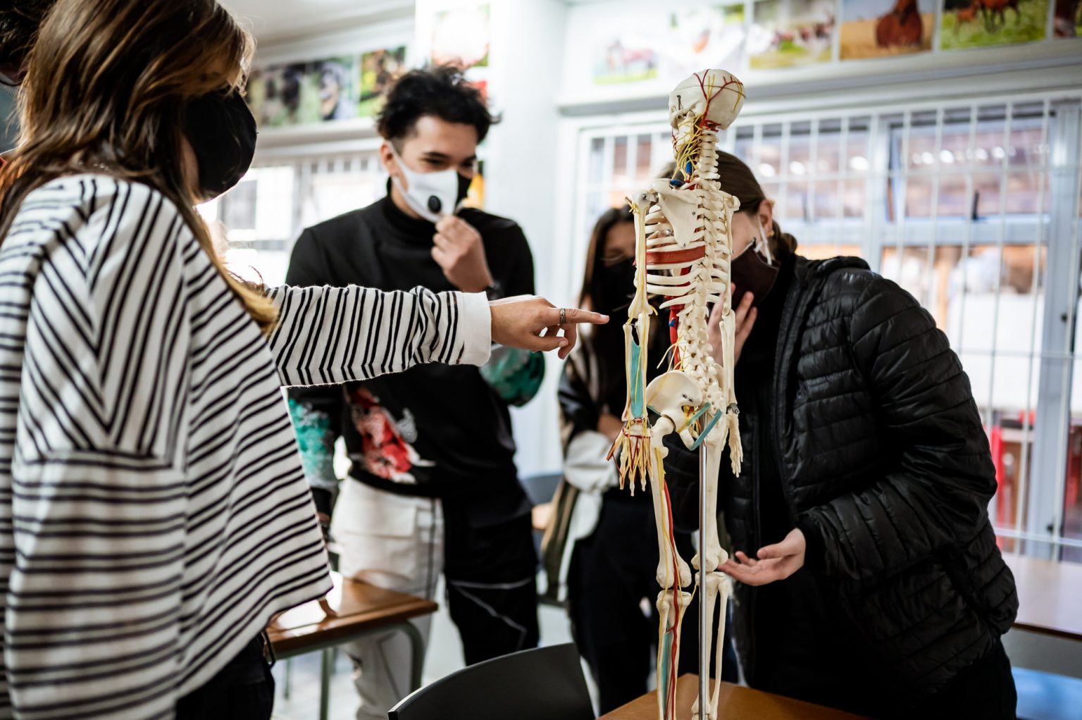 Life sciences - The Hill College